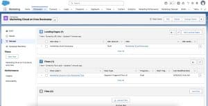 Marketing Cloud Next: Unlocking Data on the Salesforce Prospect, Lead ...